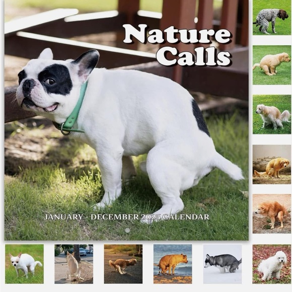 Office | New Nature Calls Pooping Dog Calendar | Poshmark